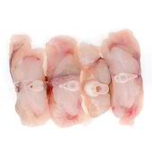 TRANCI RANA PESCATRICE PESCATO in dettaglio | Gros Spesa Online