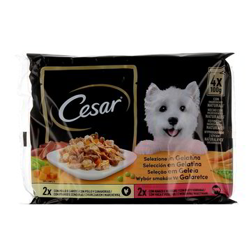 LE DELIZIE DEL GIORNO IN GELATINA POLLO E CAROTE MANZO E VERDURE CESAR ...